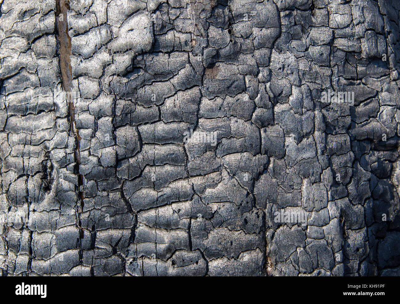 burnt wood texture Stock Photo - Alamy