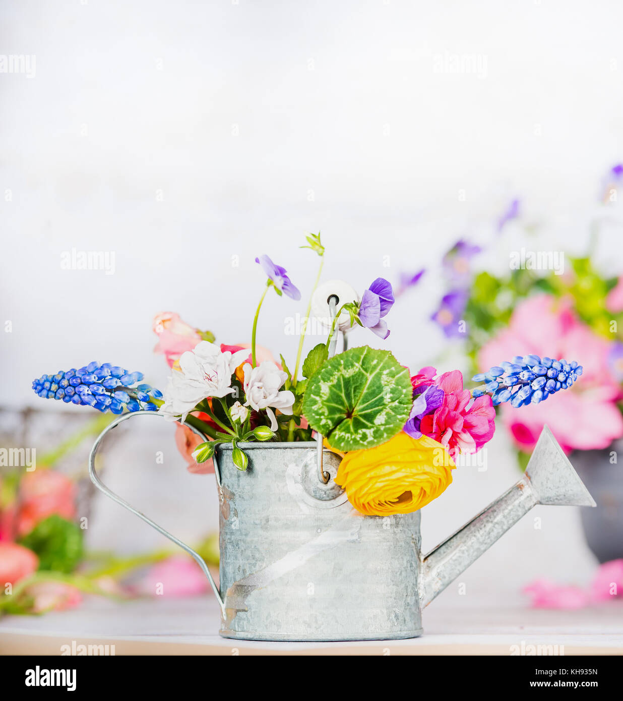 Watering can with colorful garden flowers on table, front view ...