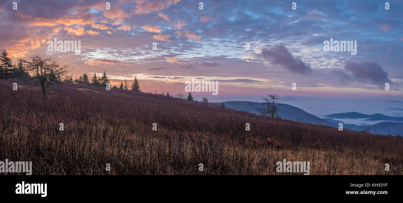 35mmf2 hi-res stock photography and images - Alamy