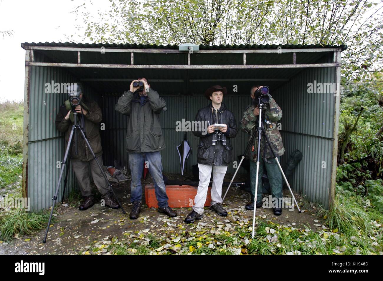 Twitchers bird hi-res stock photography and images - Alamy