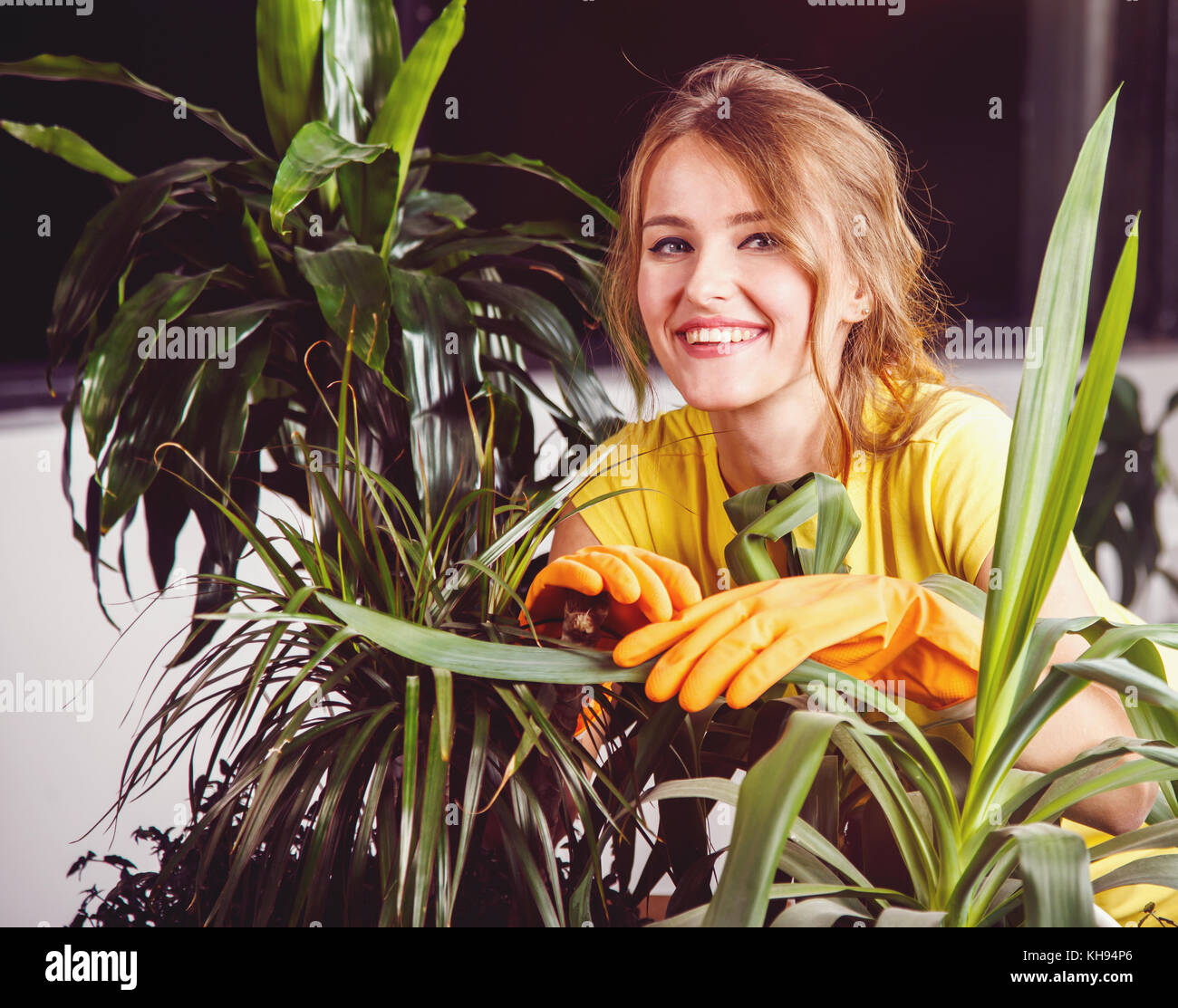 Cheerful girl taking care of green plants Stock Photo - Alamy