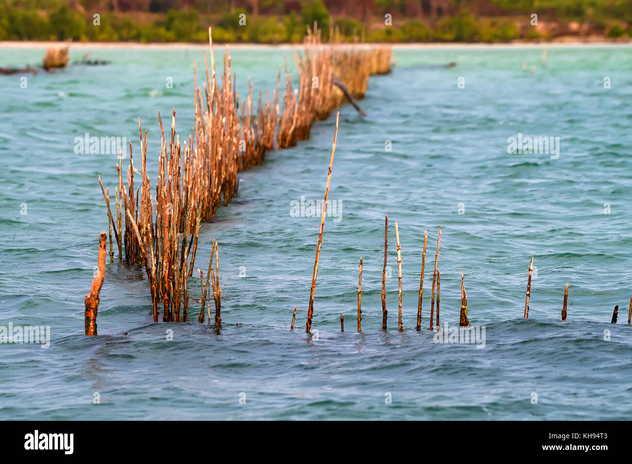 Fish trap in river, beautiful natural landscape Stock Photo - Alamy