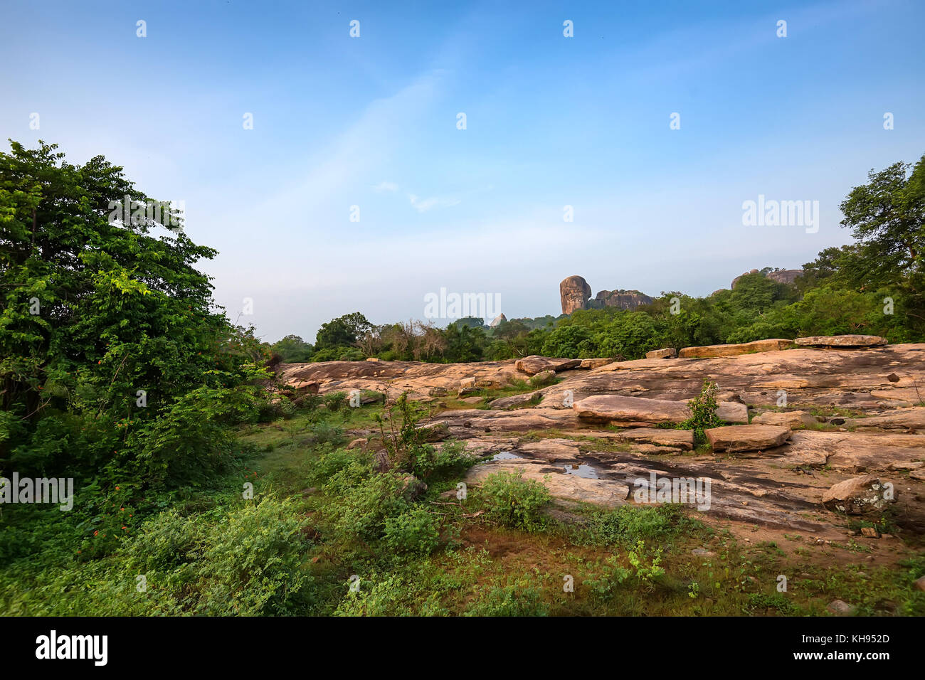 Landscape Yala National Park, Sri Lanka Stock Photo - Alamy