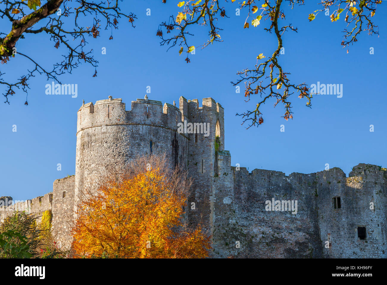 Chepstow castle gwent wales uk hi-res stock photography and images - Alamy