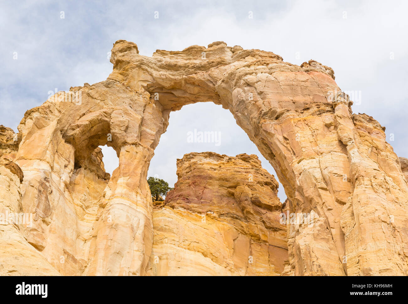 Grosvenor Arch double arch off of Cottonwood Canyon Road in Grand ...