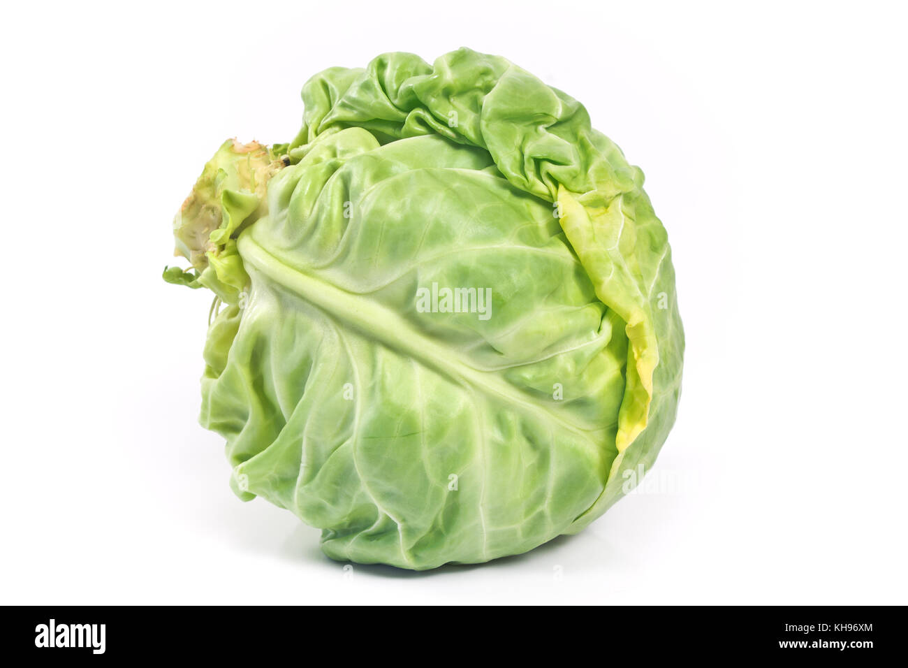 Spring cabbage plant Cut Out Stock Images & Pictures - Alamy