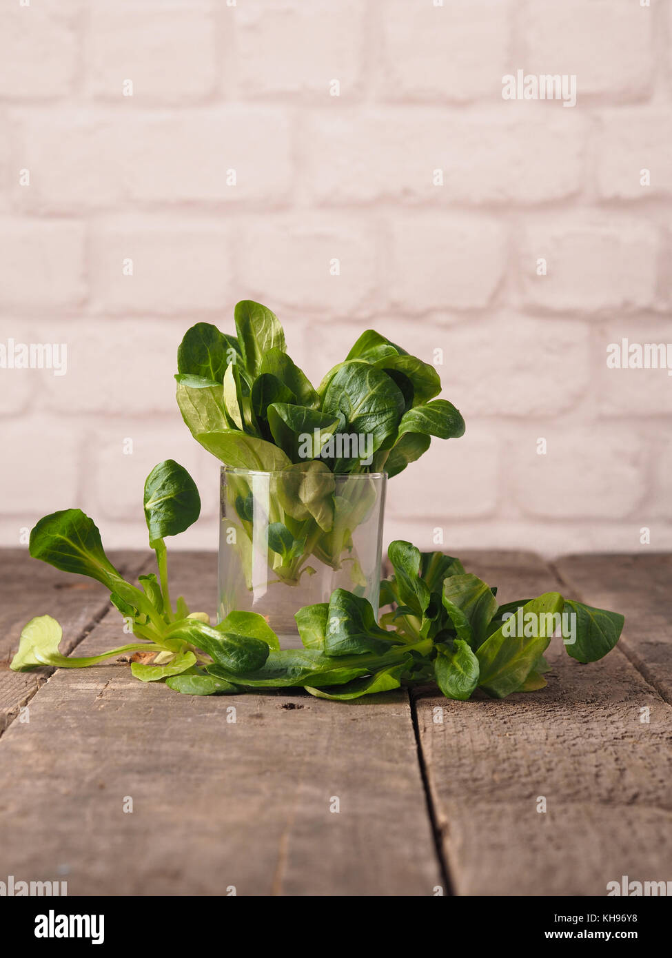 Fresh organic mache in a glass on a rustic wooden kitchen table ...