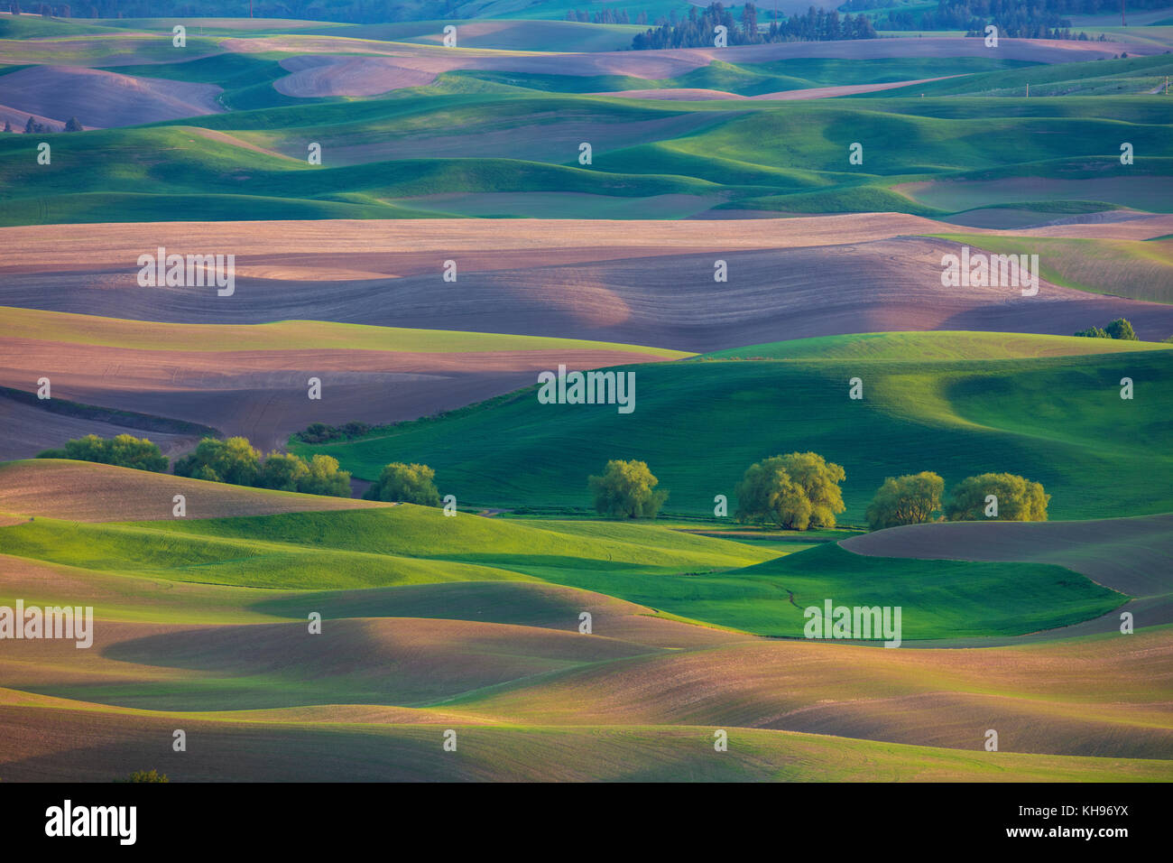 Palouse washington hi-res stock photography and images - Alamy
