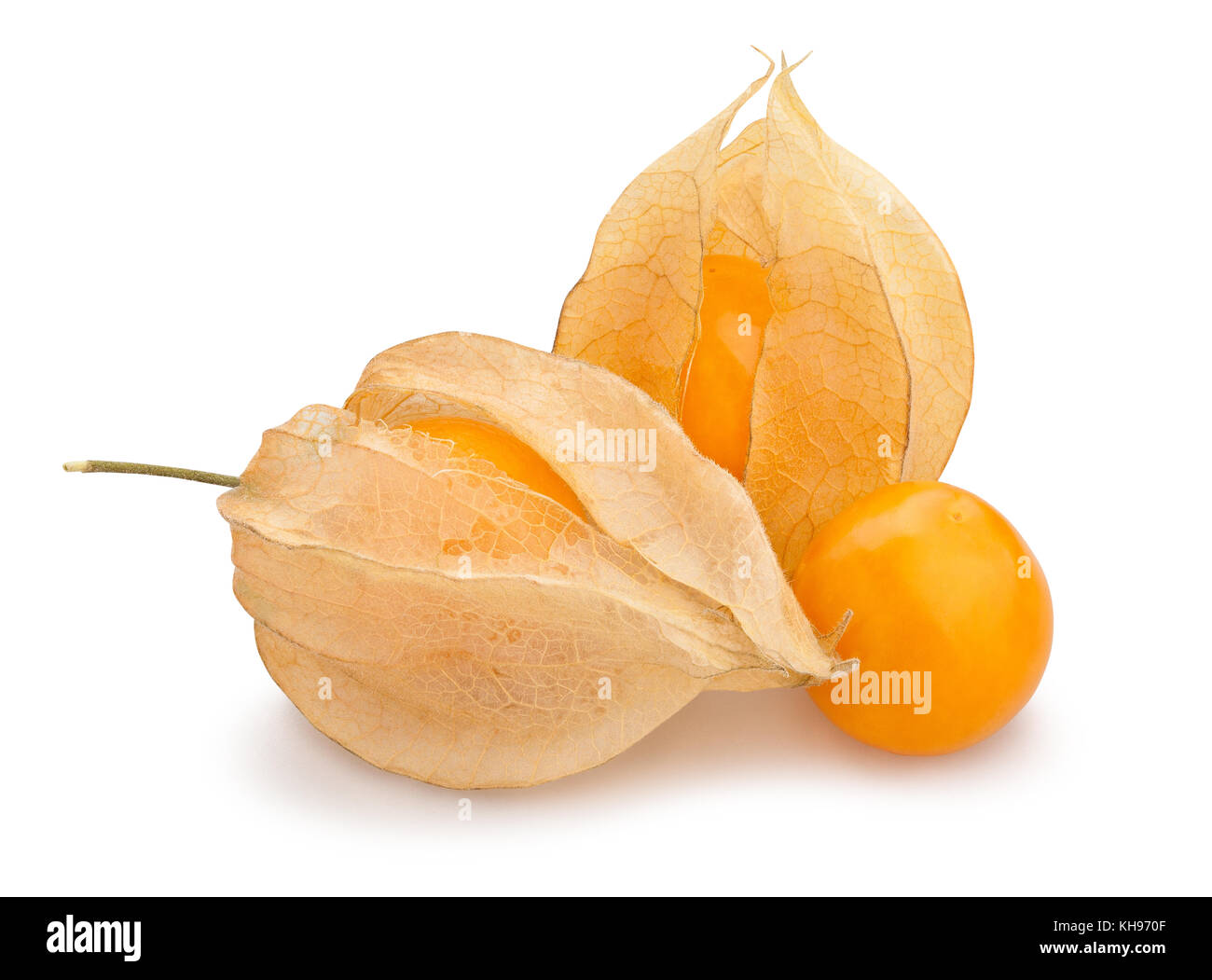physalis path isolated Stock Photo - Alamy