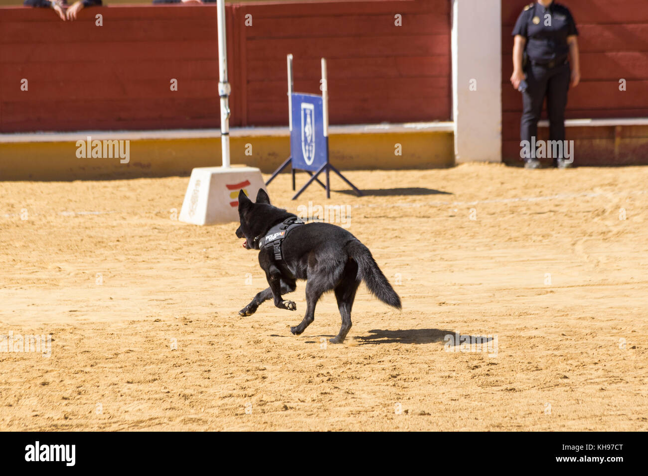 Policeman Security Guard Police Dog High Resolution Stock Photography ...