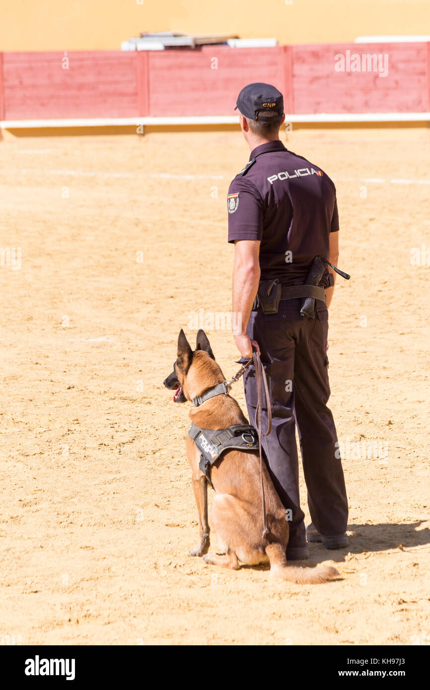 Police man dog search man hi-res stock photography and images - Alamy