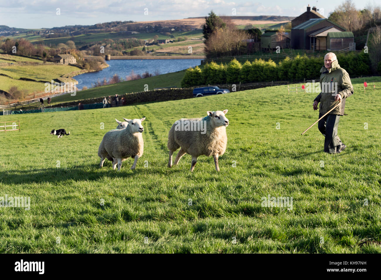 Competitors at the Yorkshire SDS Sheepdog Trials, Whitestone Farm ...