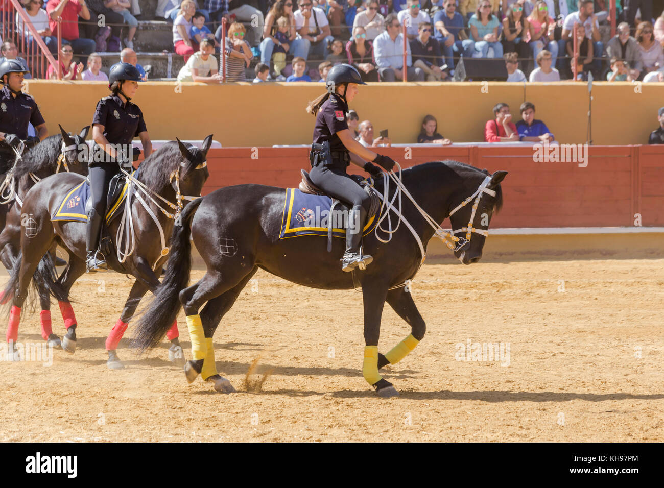 Police equestrian day hi-res stock photography and images - Alamy