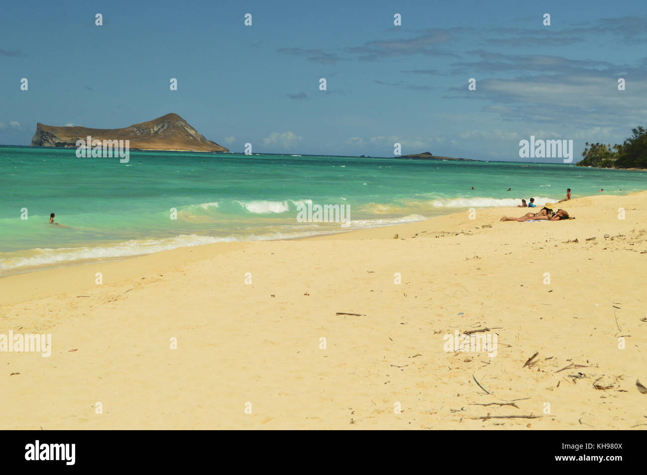 The Majestic and Incredible White Beaches. Oahu, Hawaii, USA, EEUU ...