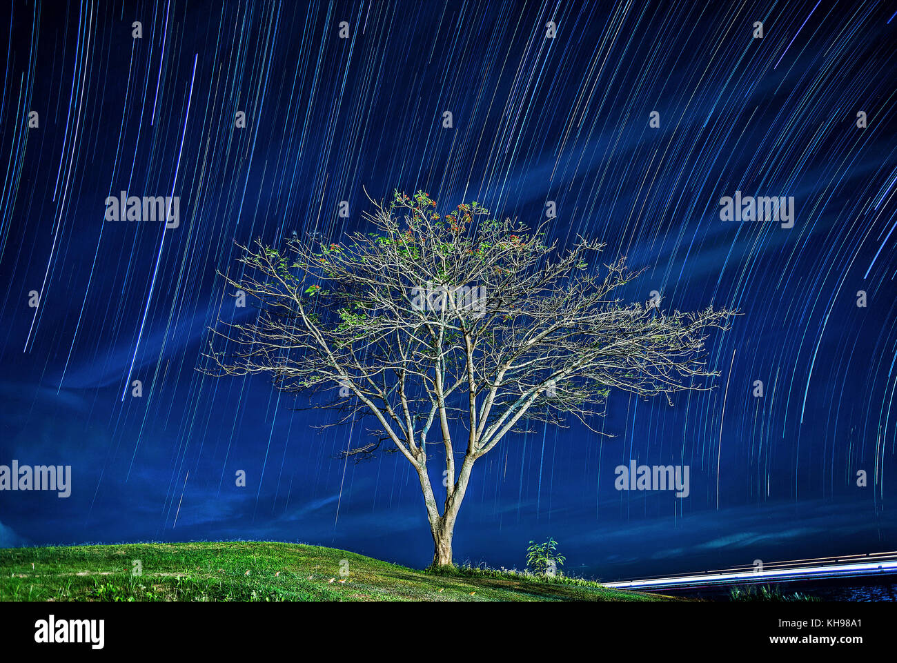Starfall hi-res stock photography and images - Alamy