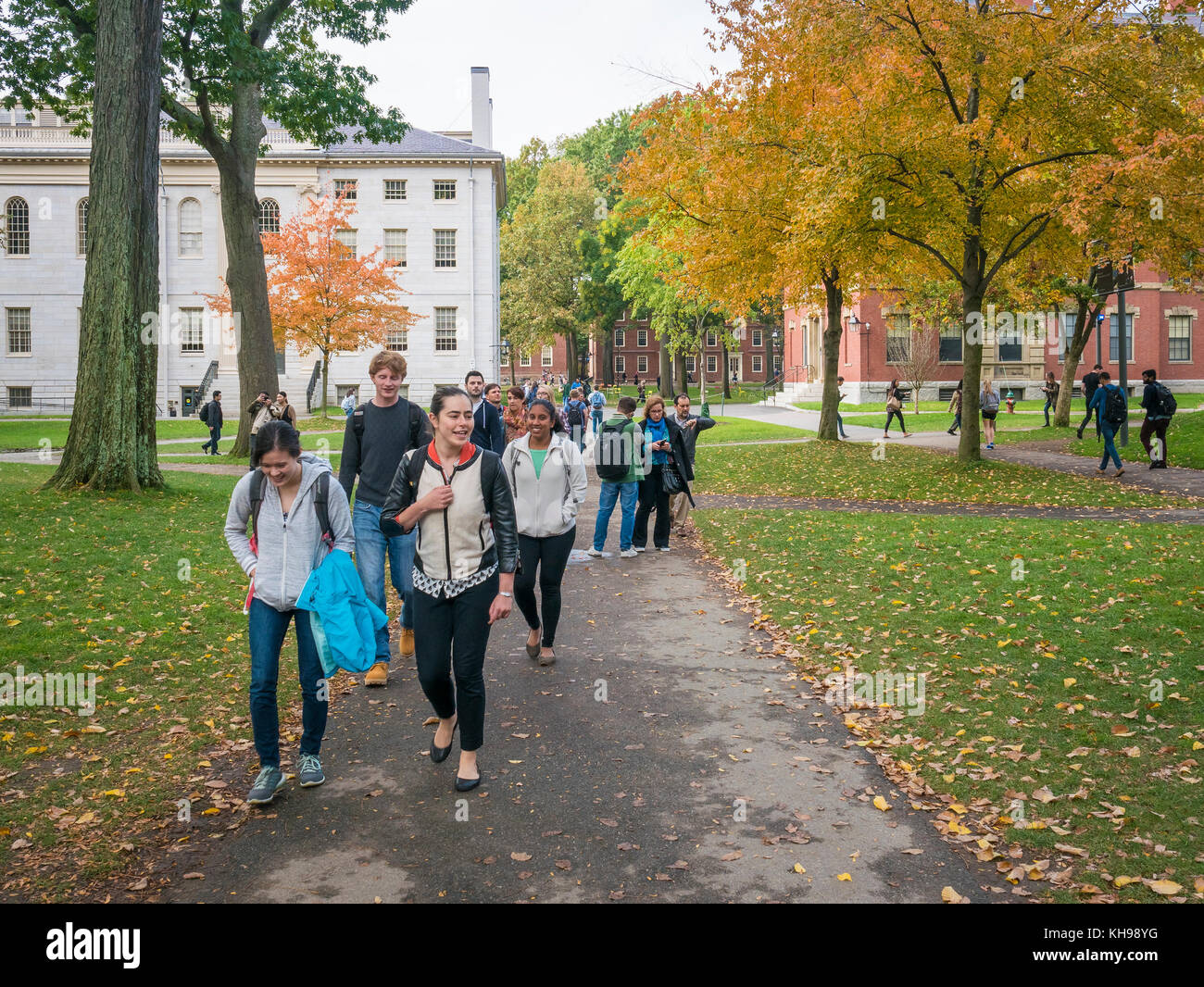 Harvard University architecture Stock Photo - Alamy