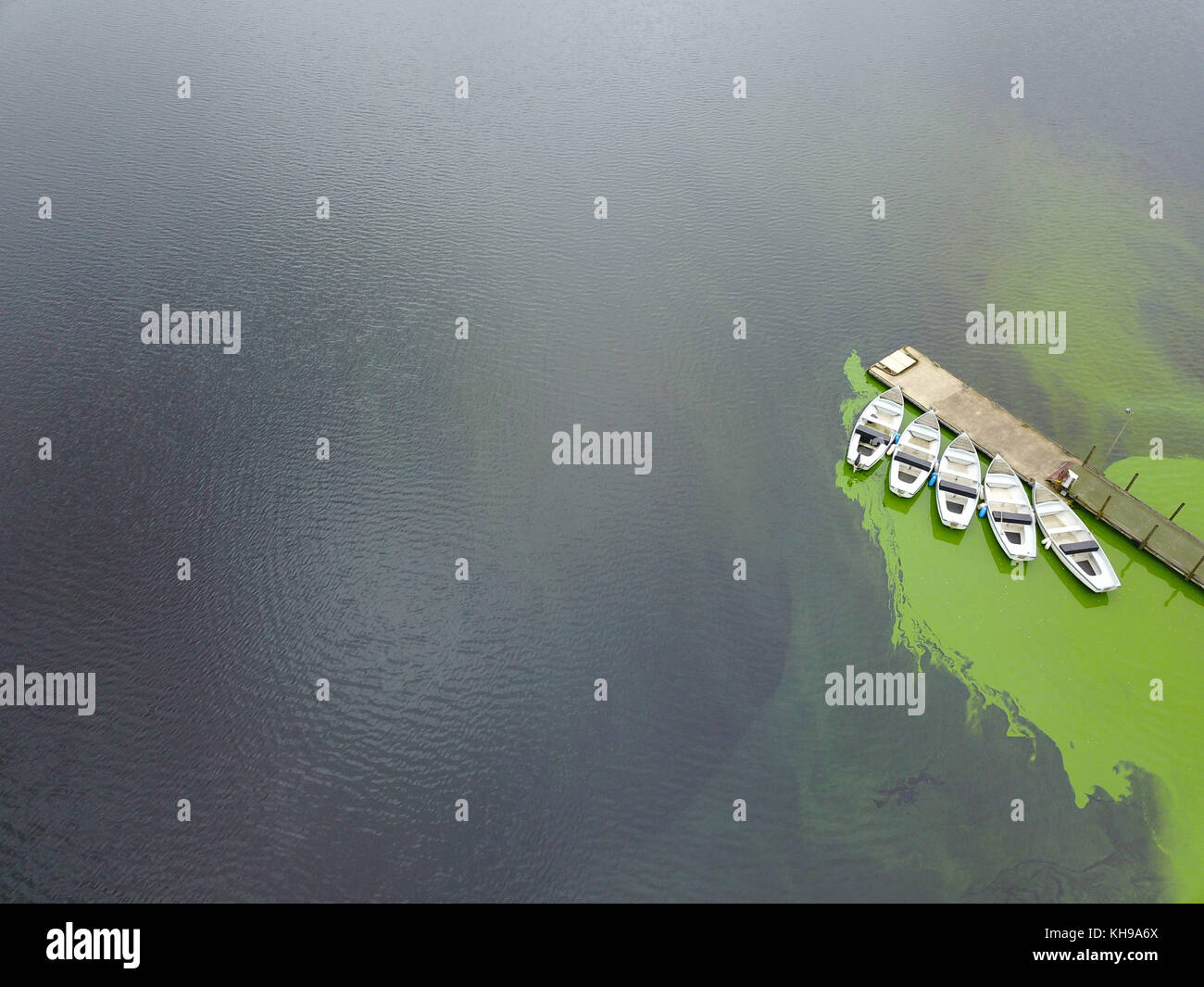 Aerial algae hi-res stock photography and images - Alamy