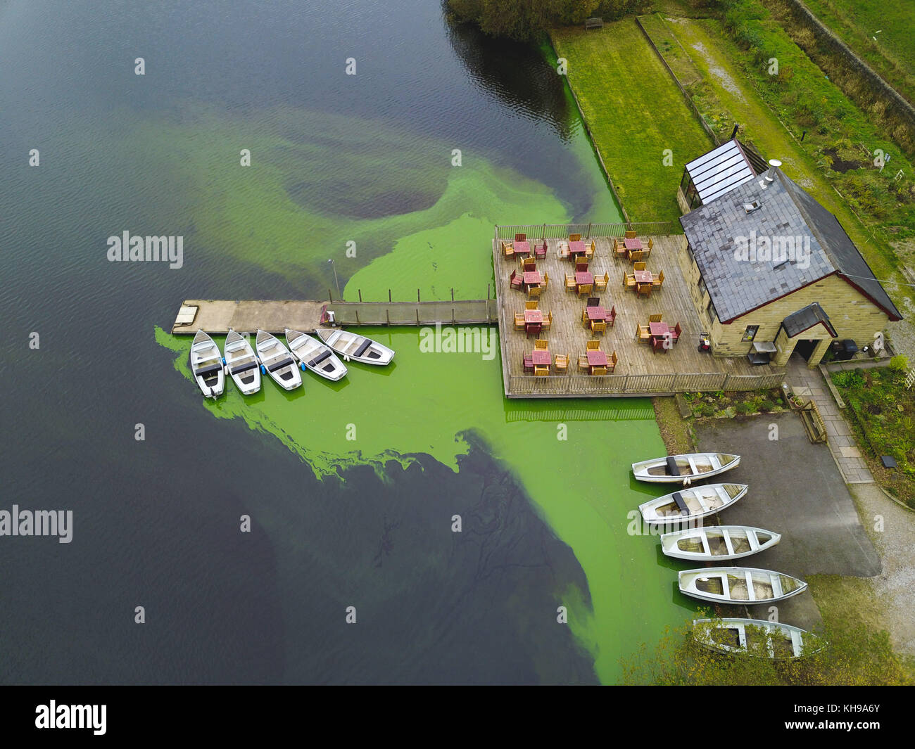 Aerial algae hi-res stock photography and images - Alamy