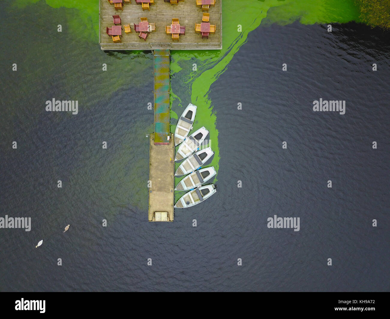 Aerial algae hi-res stock photography and images - Alamy