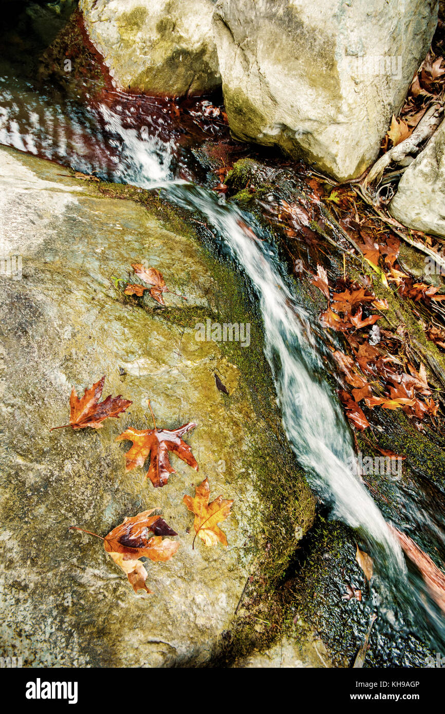 Waterfall in the gorge of Richtis at autumn, Crete, Greece Stock Photo ...