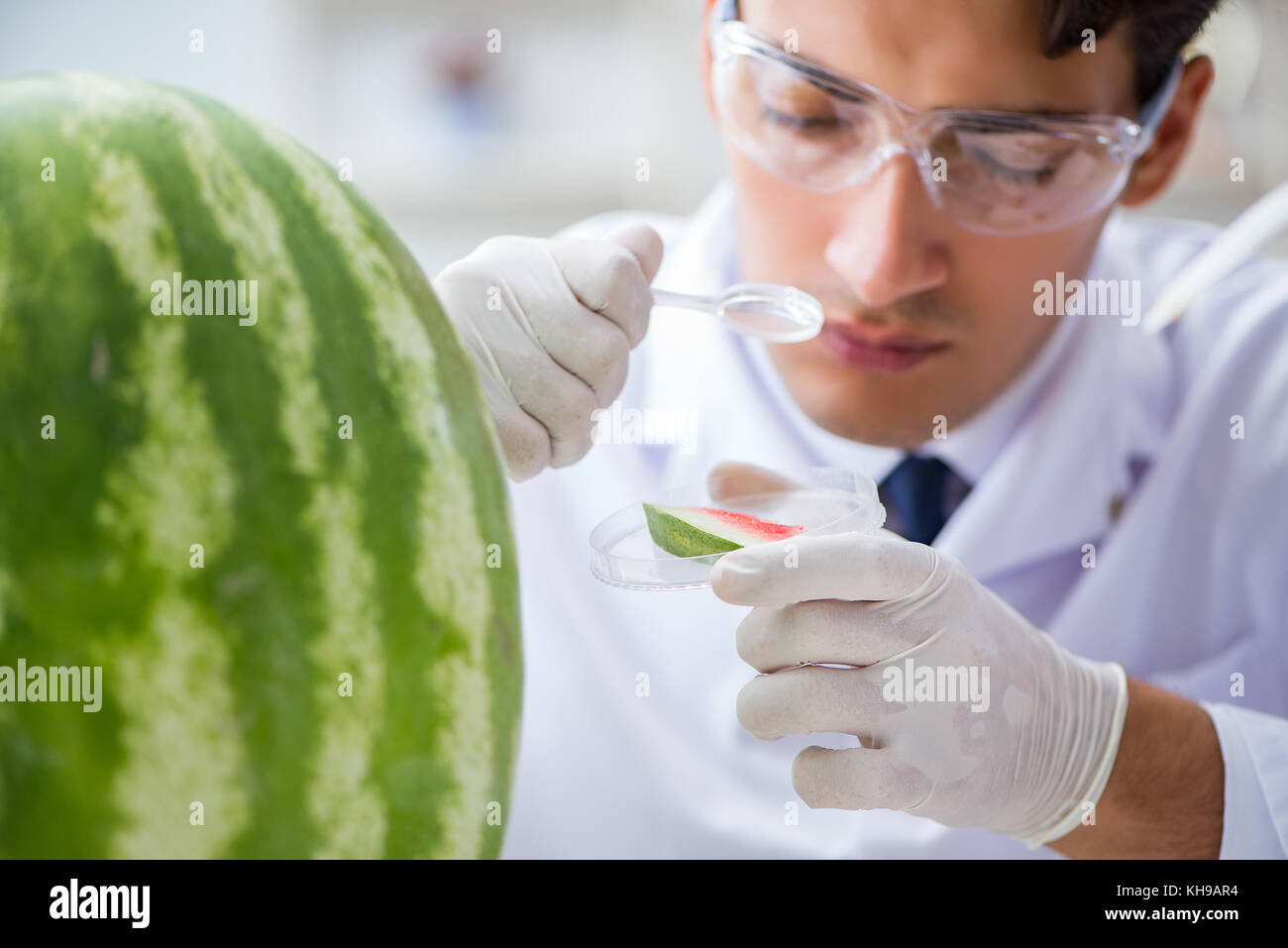 Scientist testing watermelon in lab Stock Photo - Alamy