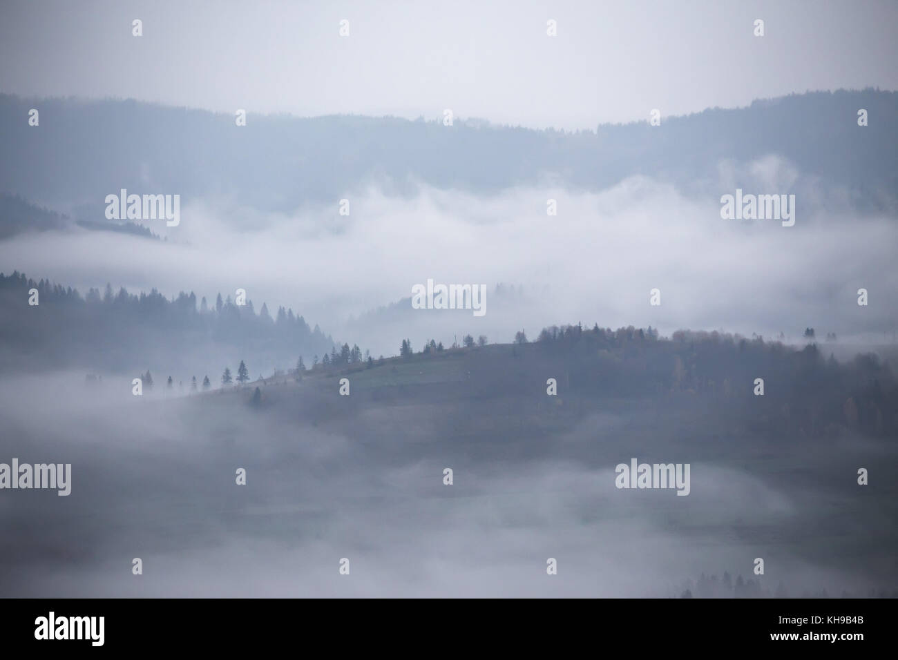Autumn rain and mist in mountains. Morning fog over hills and forest ...