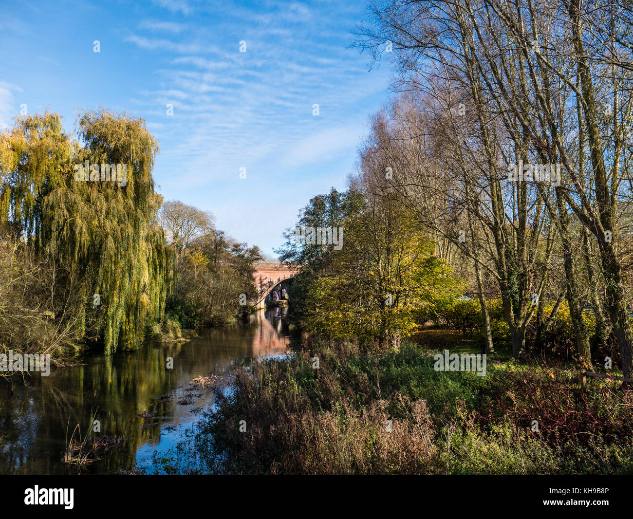 River Loddon, Winnersh, Berkshire, England, UK, GB Stock Photo - Alamy