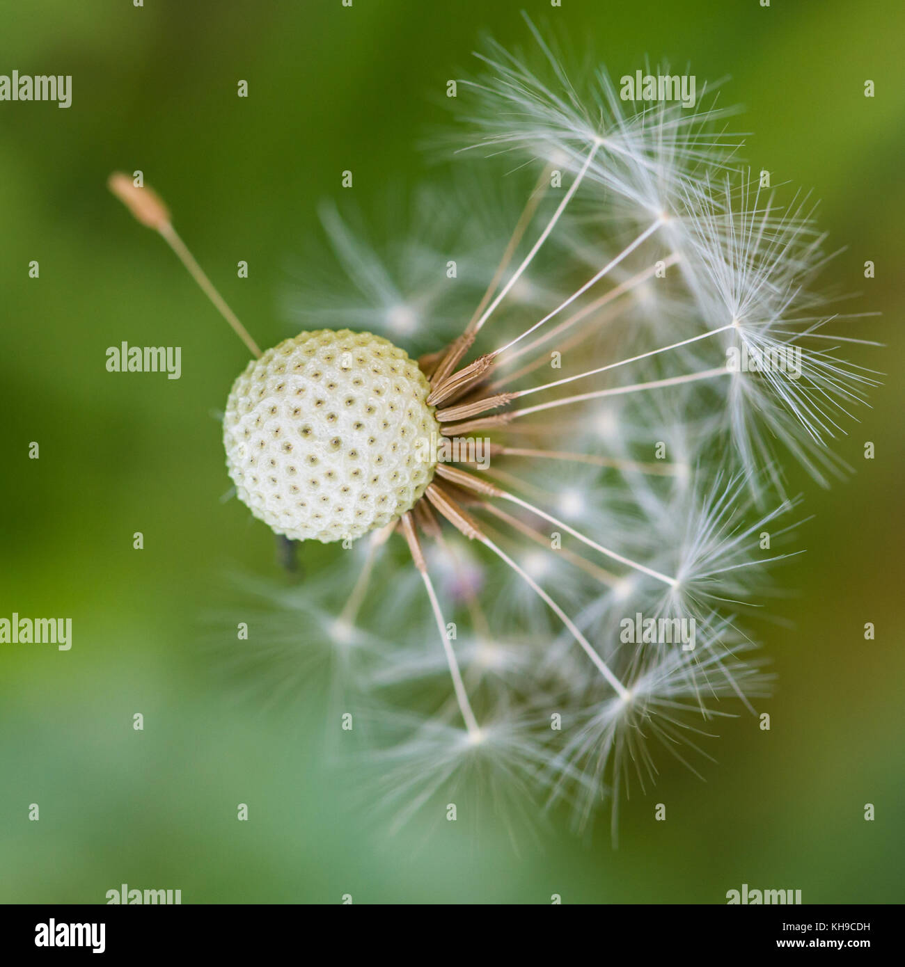 Partial clock hi-res stock photography and images - Alamy