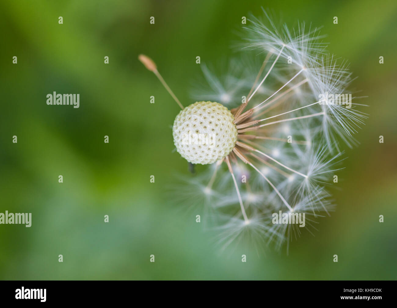 Partial clock hi-res stock photography and images - Alamy