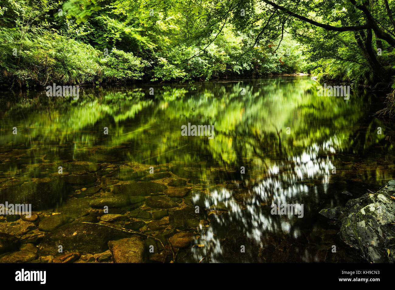 River Dart near New Bridge, Dartmoor National Park, Devon, England ...