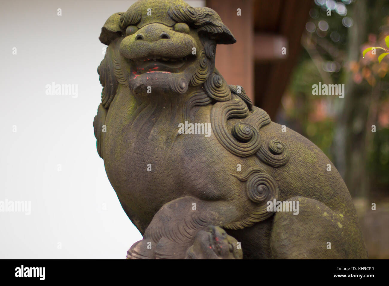 Komainu; Guardian dog sculpture of japanese shrine Stock Photo - Alamy