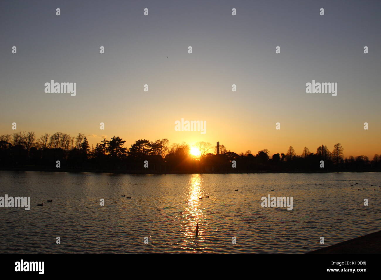 Sunset in japan hi-res stock photography and images - Alamy