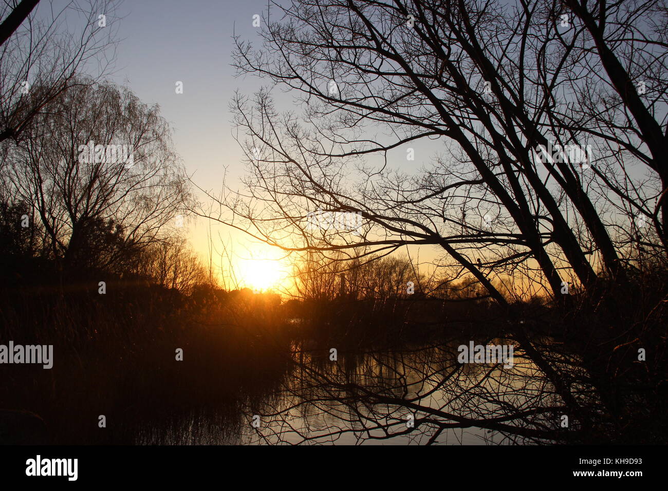 Autumn Sunset in Japan Stock Photo - Alamy