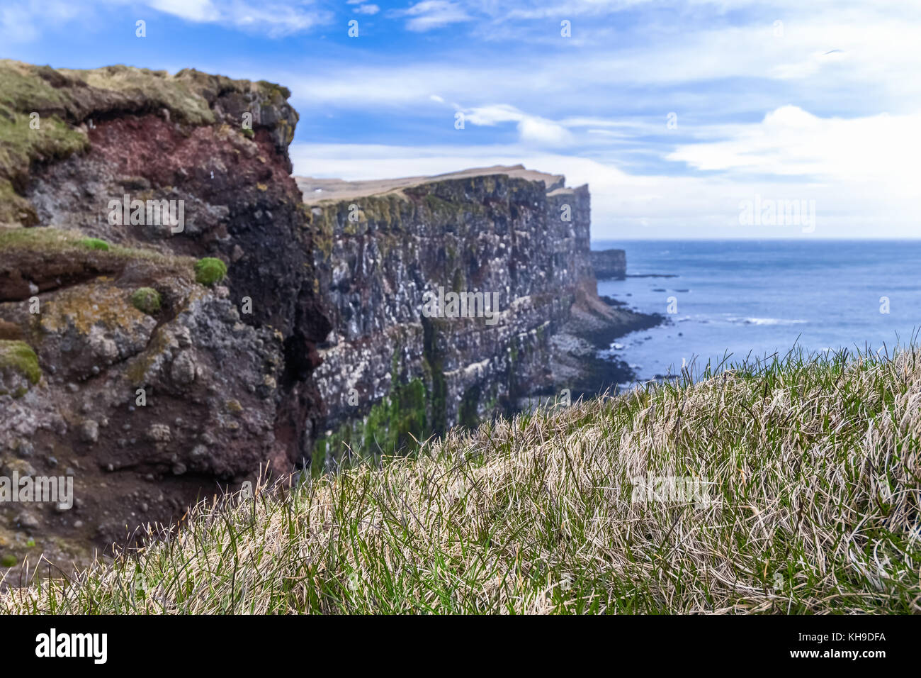 Latrabjarg bird cliffs Westfjords, Iceland Stock Photo - Alamy