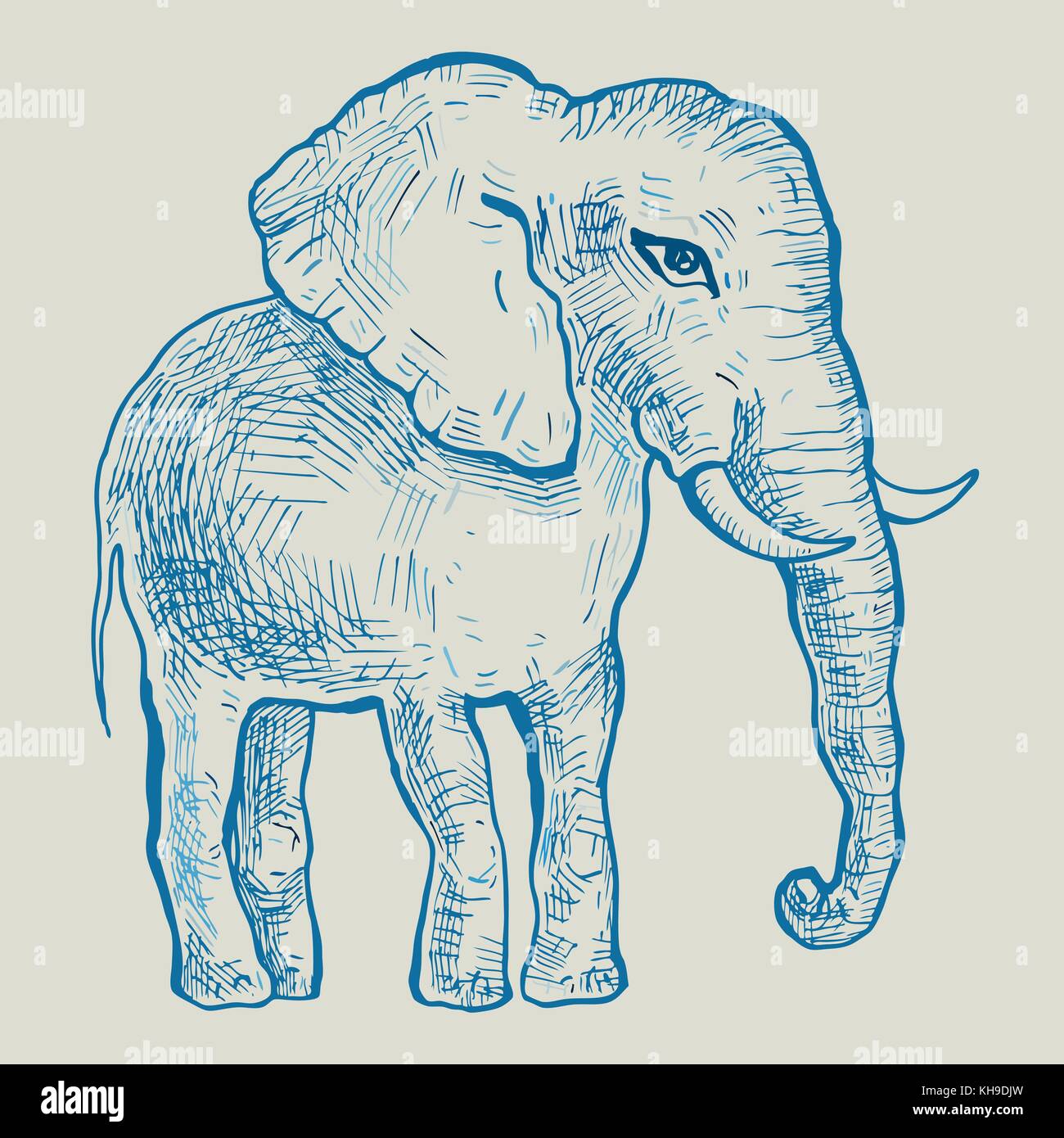 Elephant. Vector illustration Stock Vector Image & Art - Alamy