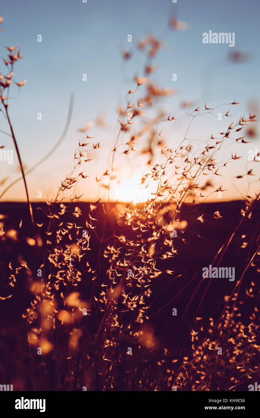 Beautiful Landscape Earth Pictures Stock Photo - Alamy