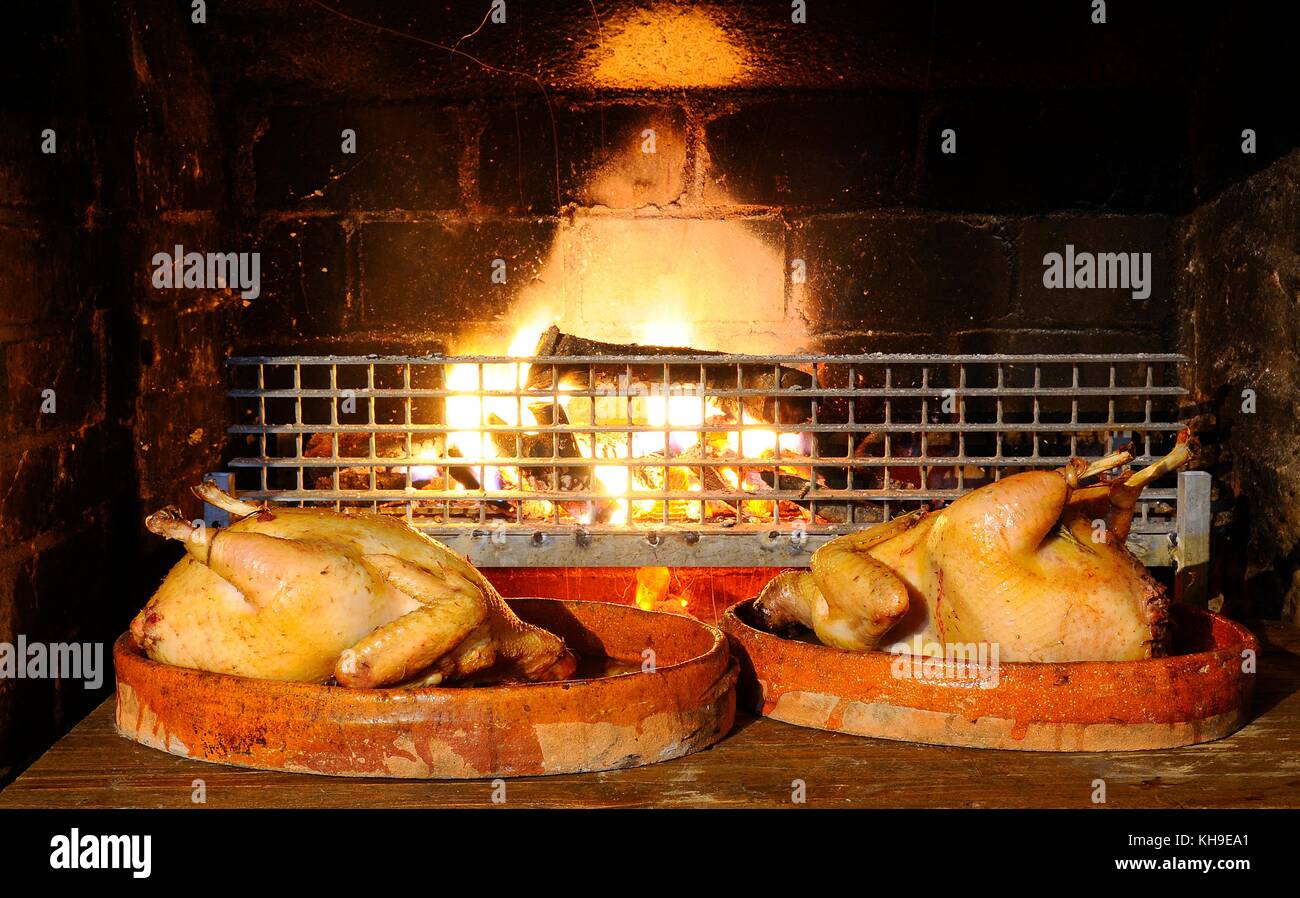 Two chikens near the fireplace on dishes. Christmas time Stock Photo ...