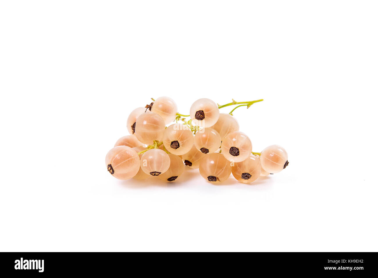 Close up view of white currant berry isolated on white background Stock ...