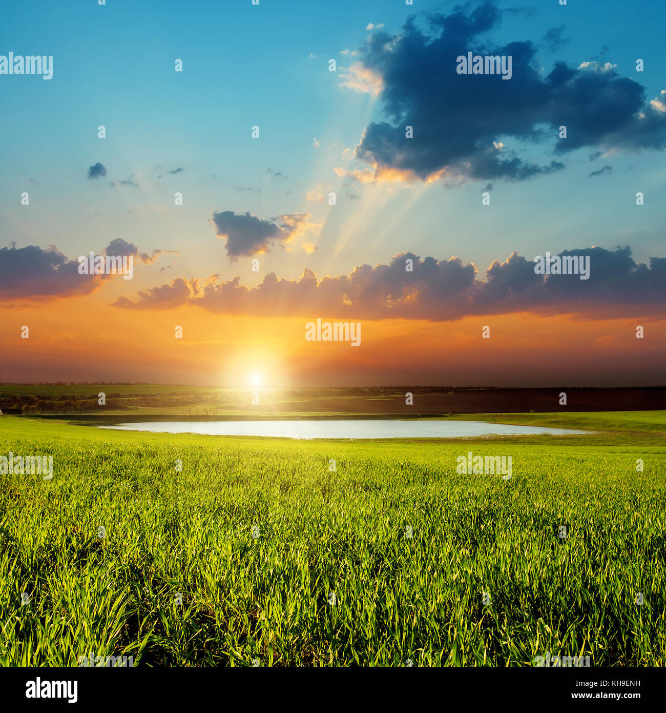 good sunset over green field with pond Stock Photo - Alamy
