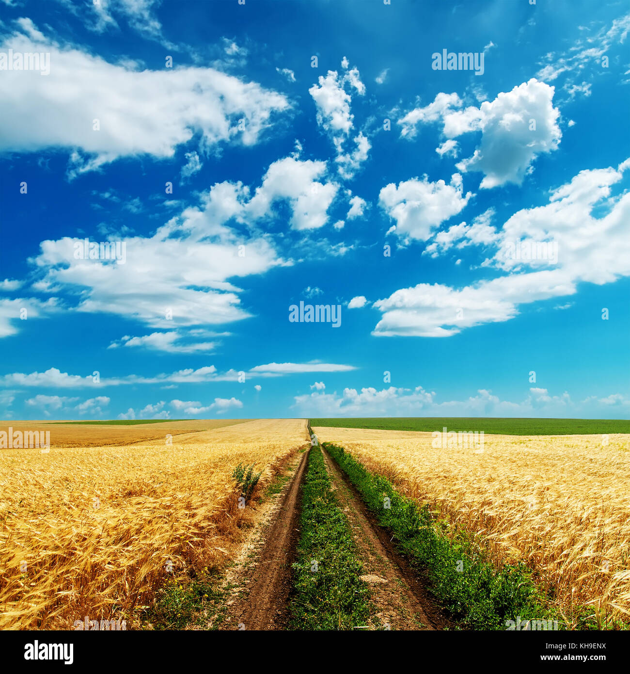 Fields under the sky hi-res stock photography and images - Alamy
