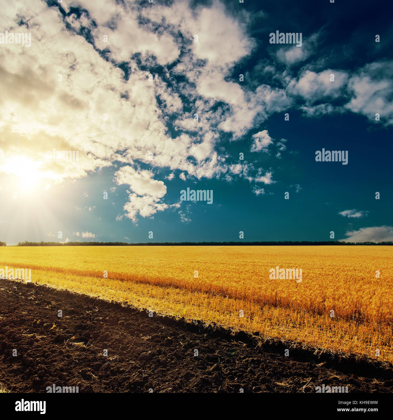 dramatic sunset over harvest field Stock Photo - Alamy