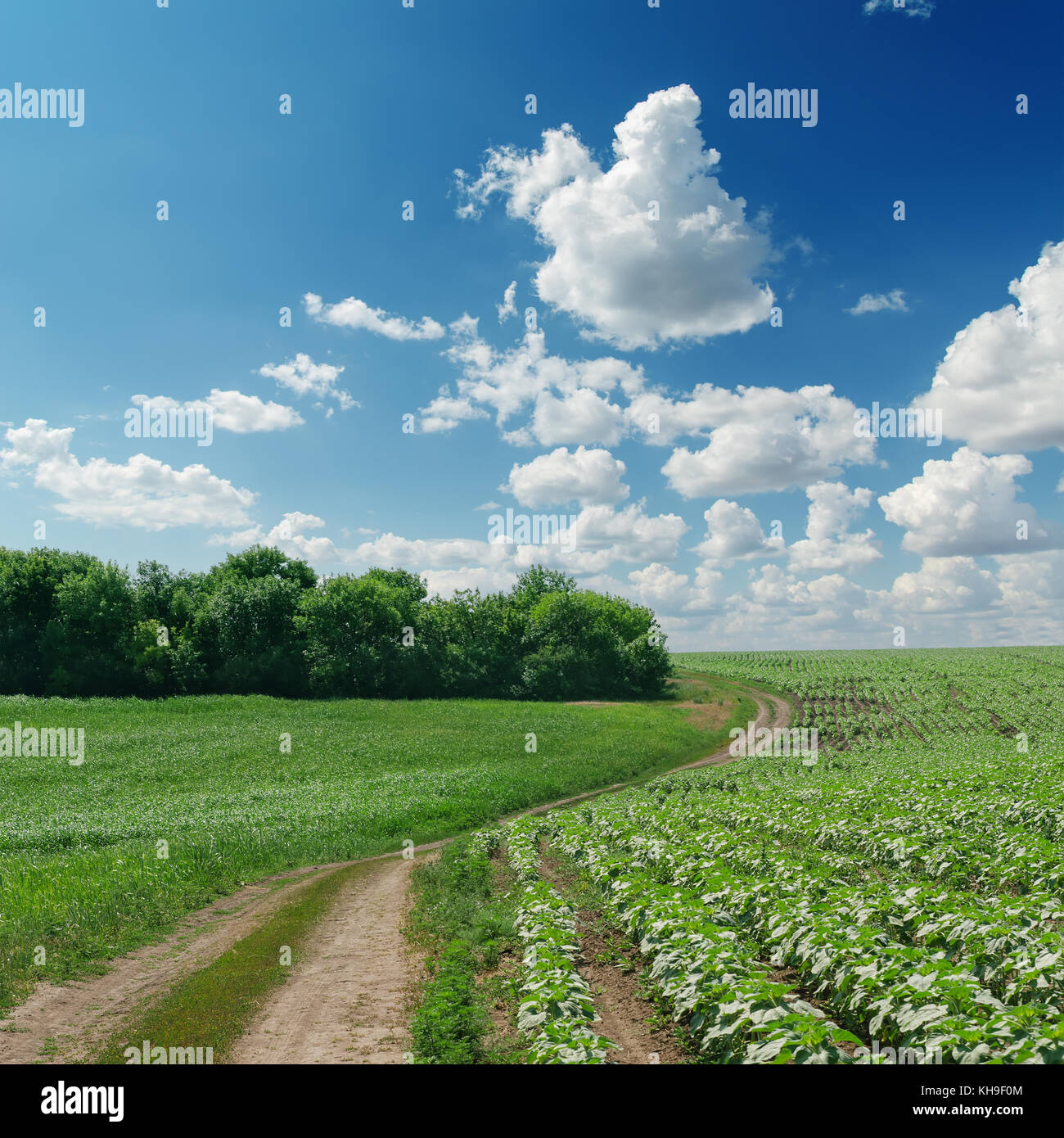 winding rural road in green field and cloudy sky over it Stock Photo ...