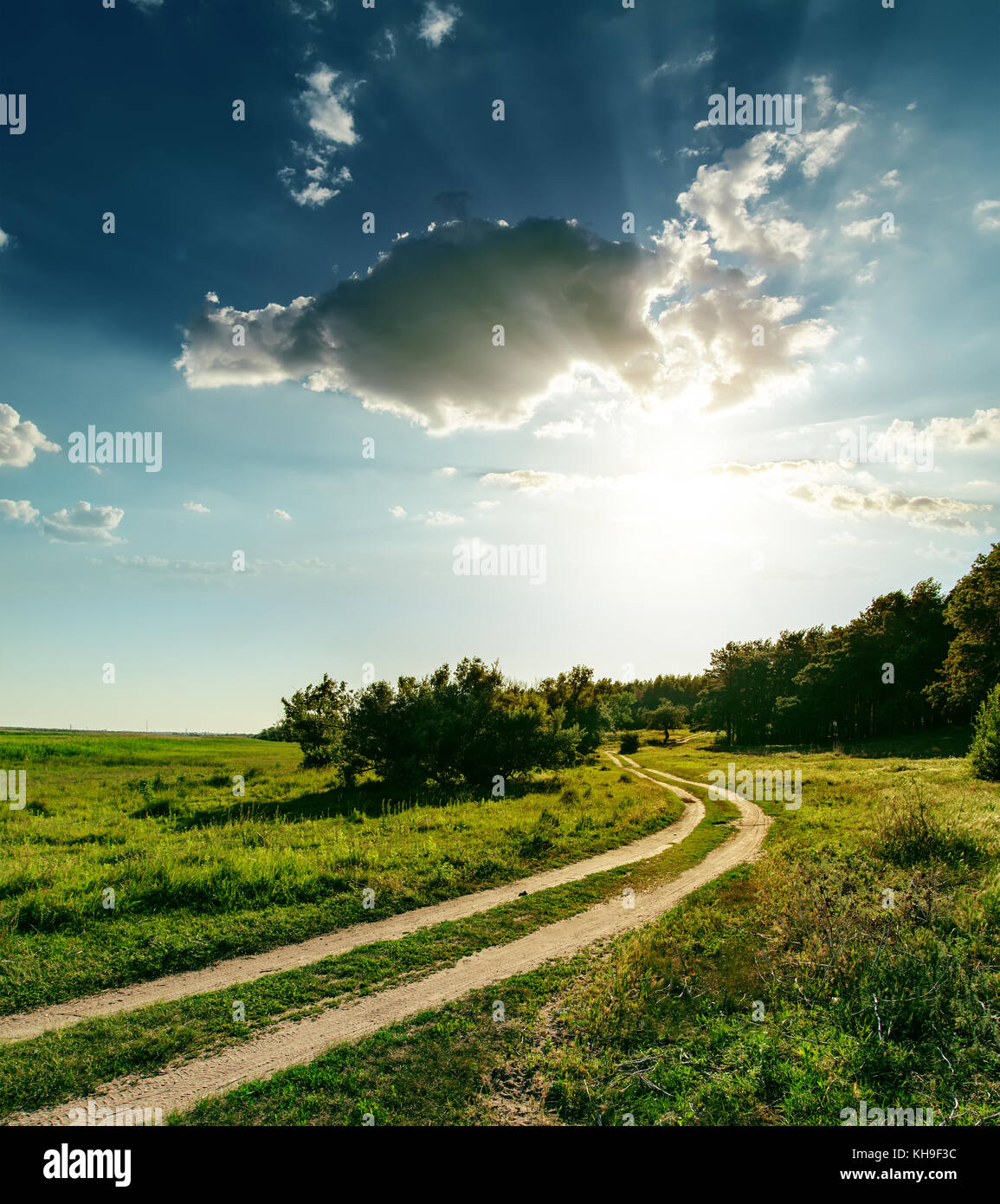 sunset over road in wood Stock Photo - Alamy