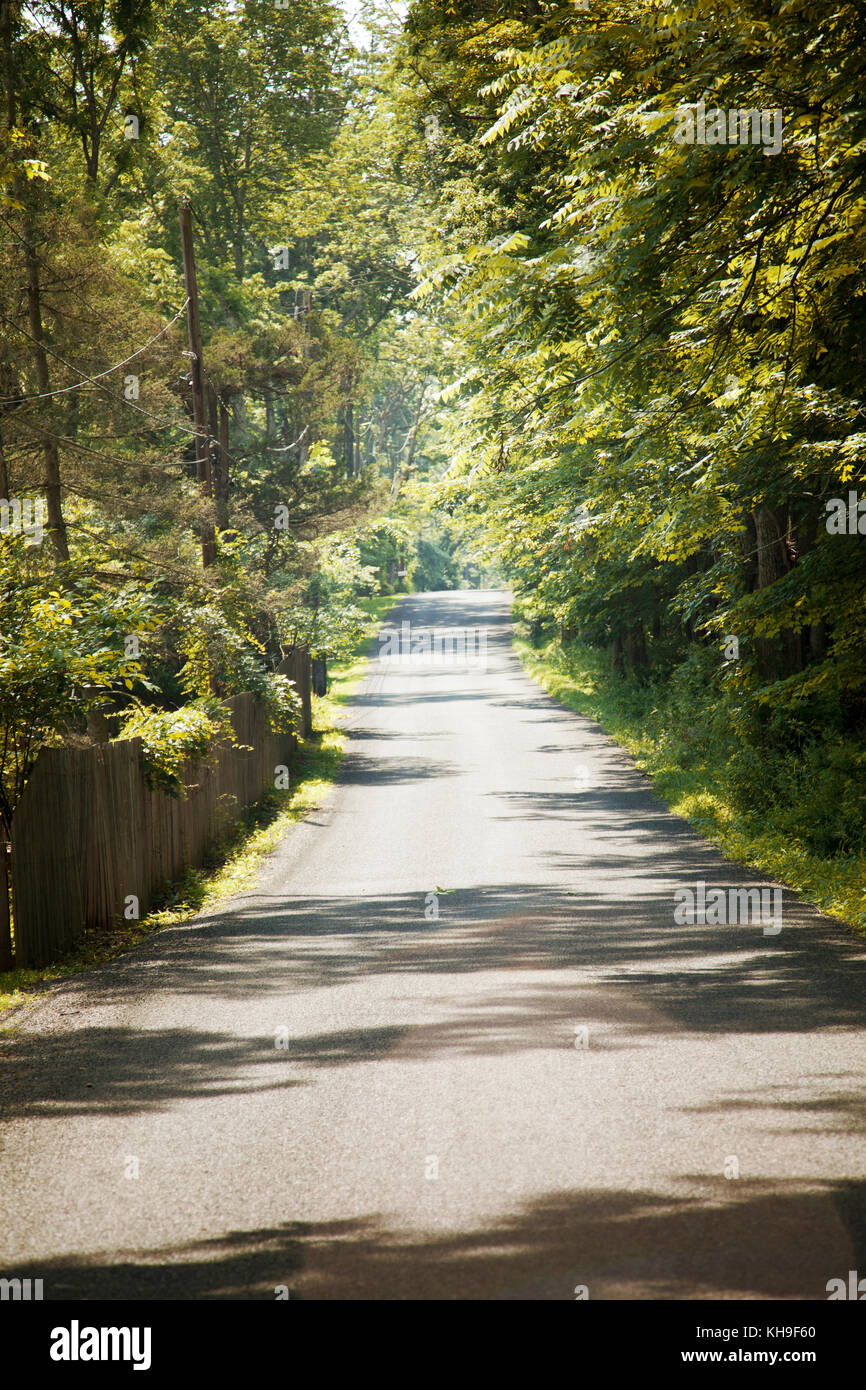 Road through Woods Stock Photo - Alamy