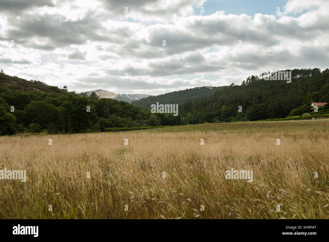Field in the countryside in a cloudy day. An isolated house, part of a ...