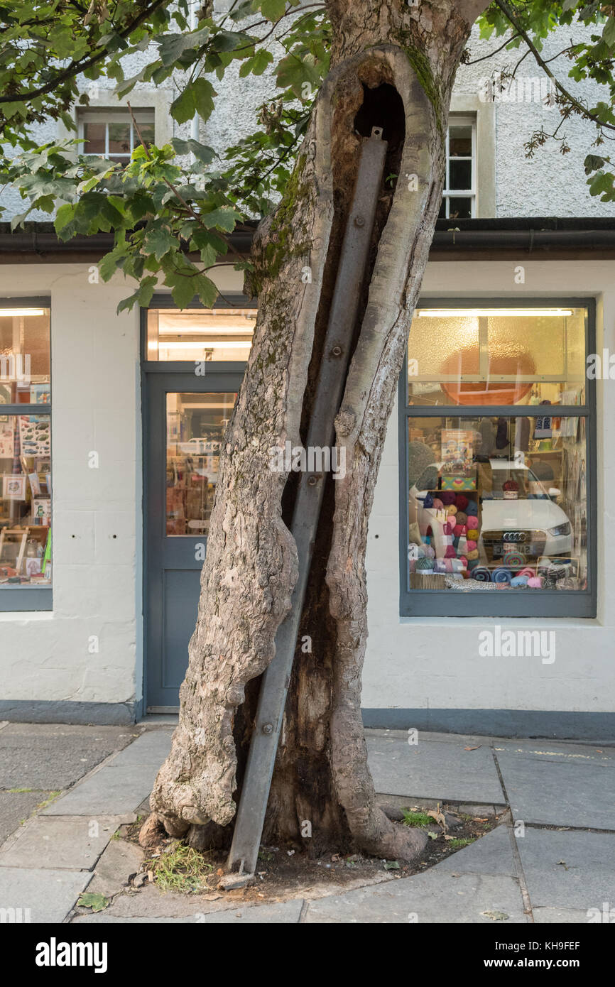 Metal tree support hi-res stock photography and images - Alamy