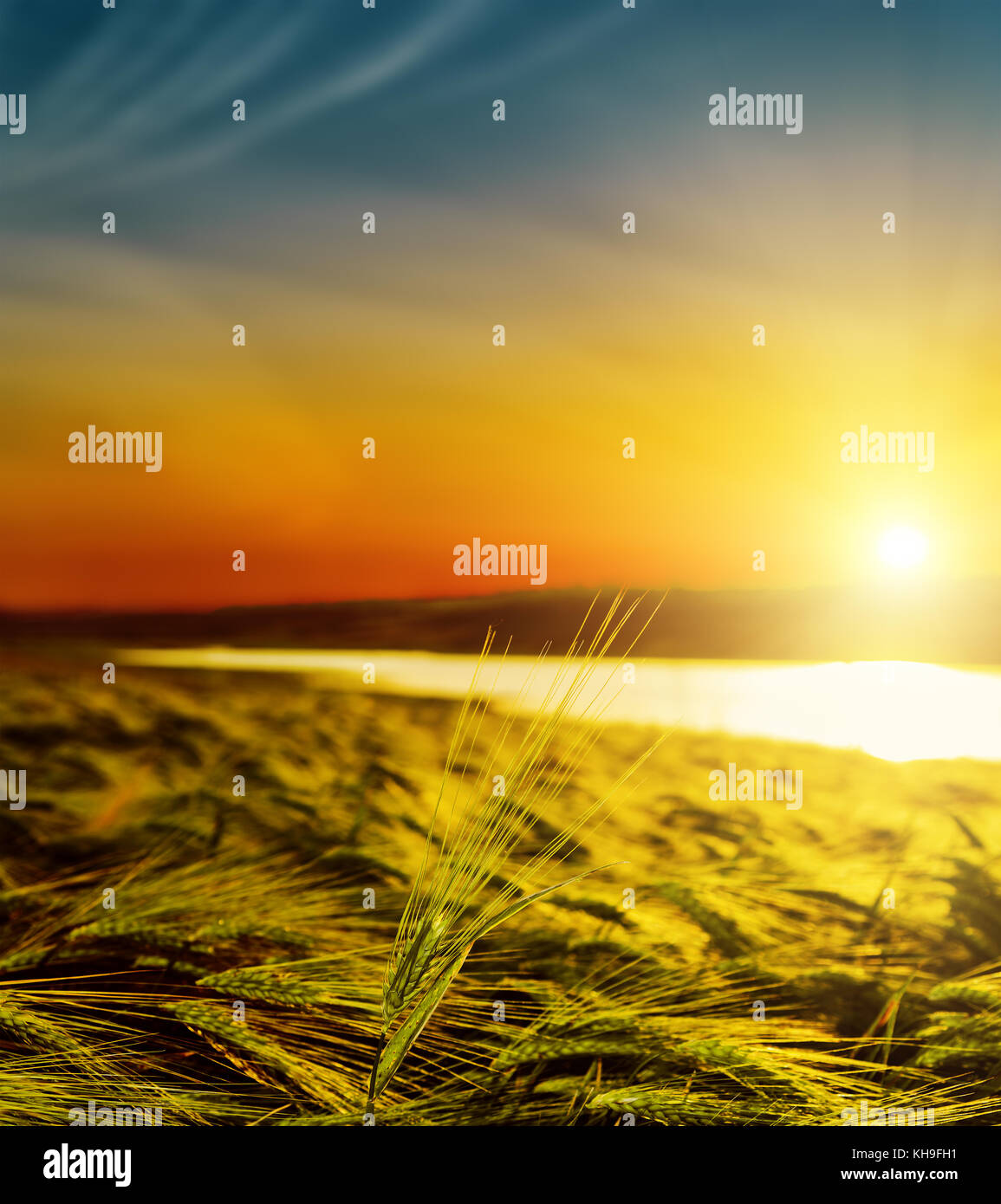 Field near river hi-res stock photography and images - Alamy