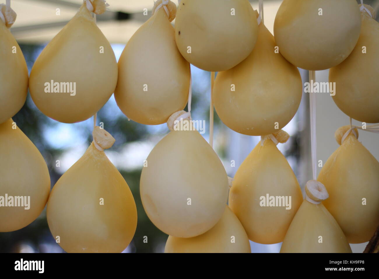Mozzarella di bufala cheese hanging in the air Stock Photo - Alamy