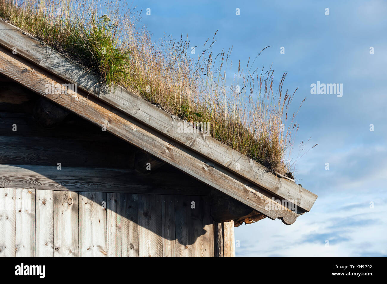Turf roof hi-res stock photography and images - Alamy
