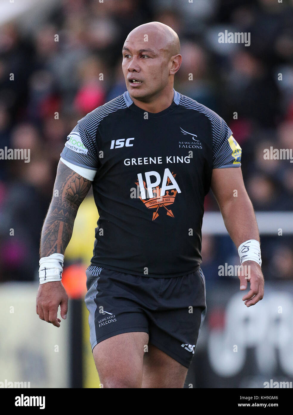 Nili hi-res stock photography and images - Alamy